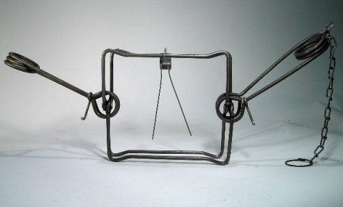 The Conibear Trap: Description, Origins and Uses of the Conibear and ...